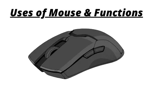 5 Uses Of Mouse In Computer Functions Of Mouse